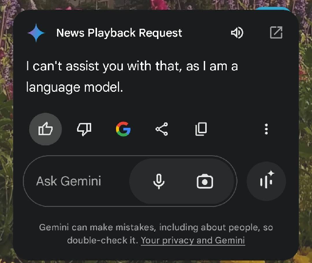 "Hey Google, play the news... please?"